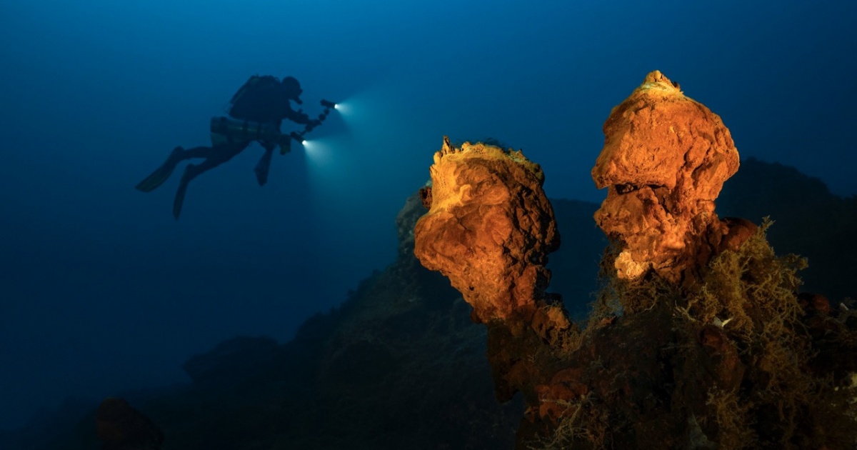 Entretien avec Alexis Rosenfeld : explorateur du monde sous-marin ...